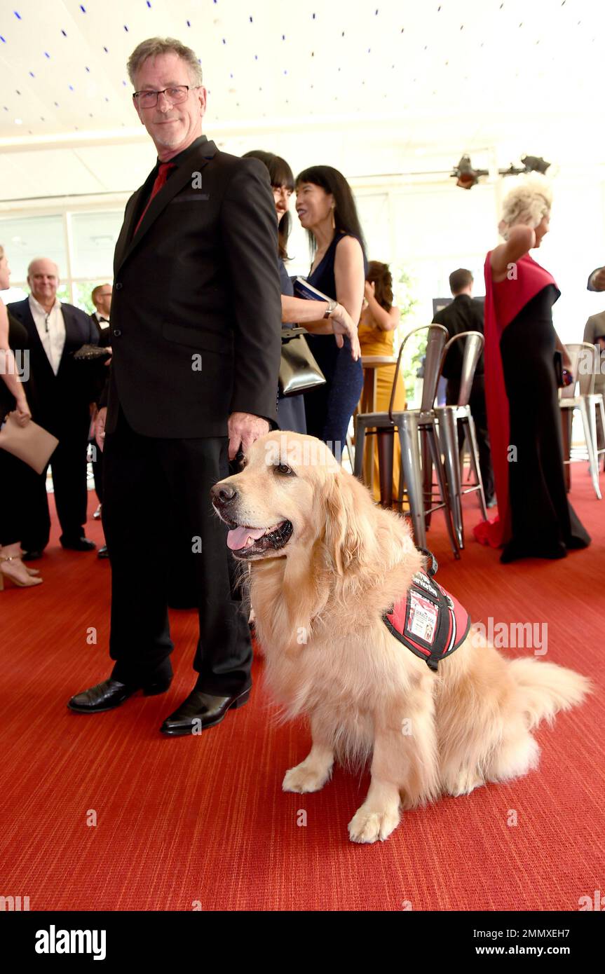 EXCLUSIVE - Mike Maas attends the 70th Los Angeles Area Emmy Awards, at ...