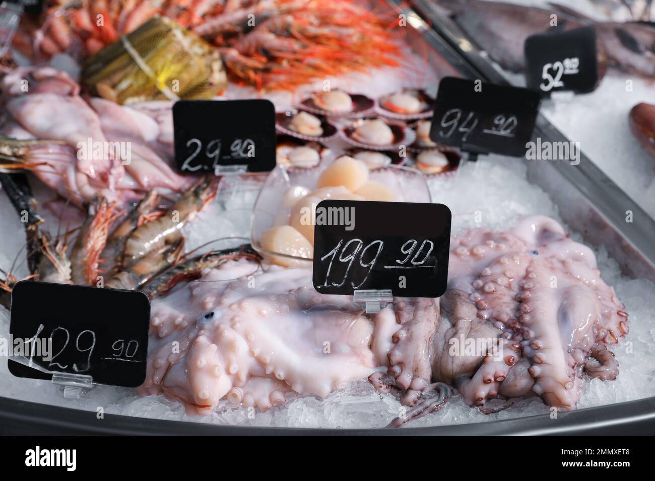 Fresh squids and other seafood on ice in supermarket Stock Photo - Alamy