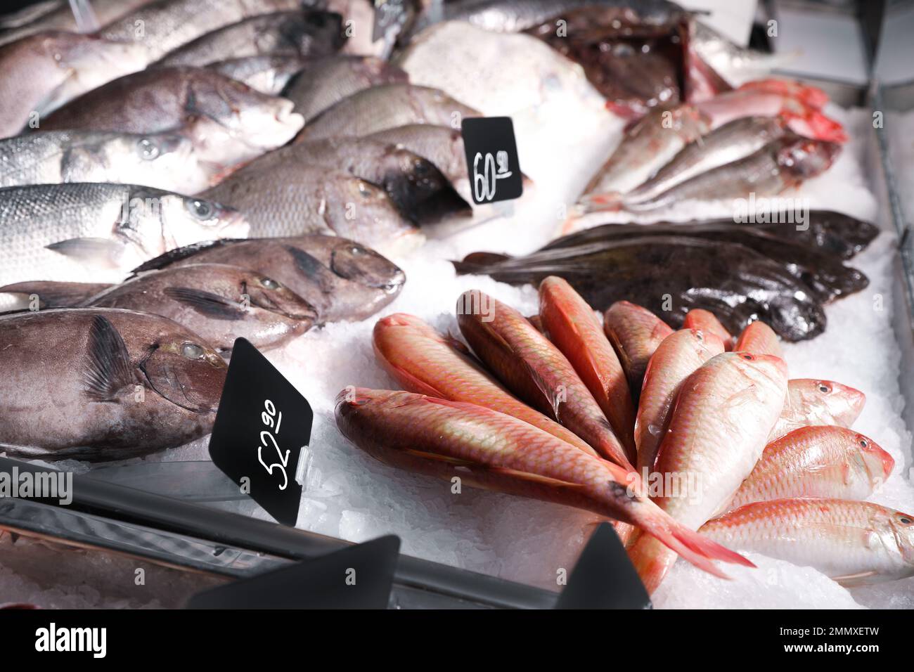 Different types of fresh fish on ice in supermarket Stock Photo - Alamy