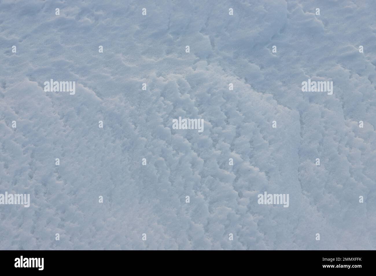 Beautiful winter background with snowy ground. Natural snow texture ...