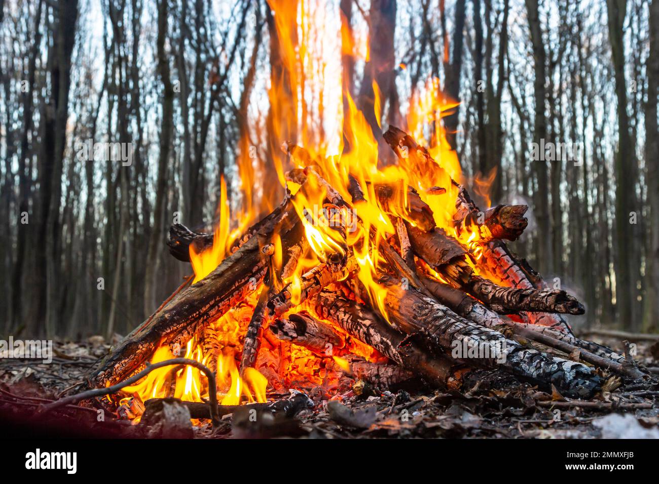 Campfire in the spring forest. Rest on the weekend. Danger of forest ...
