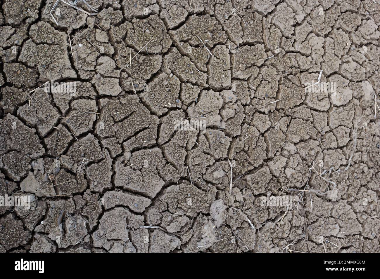 The cracked ground, Ground in drought, Soil texture and dry mud, Dry ...