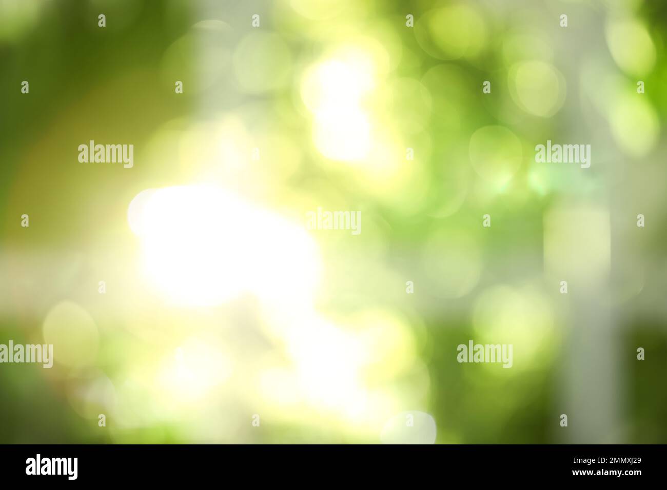 Blurred view through window on garden in morning Stock Photo - Alamy