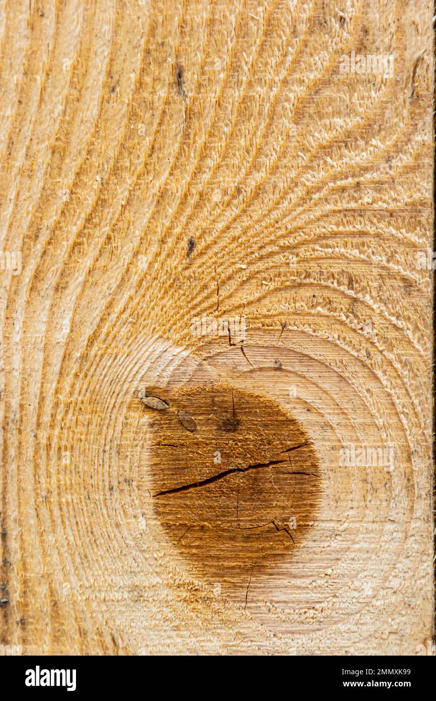 wood texture natural, plywood texture background surface with old ...