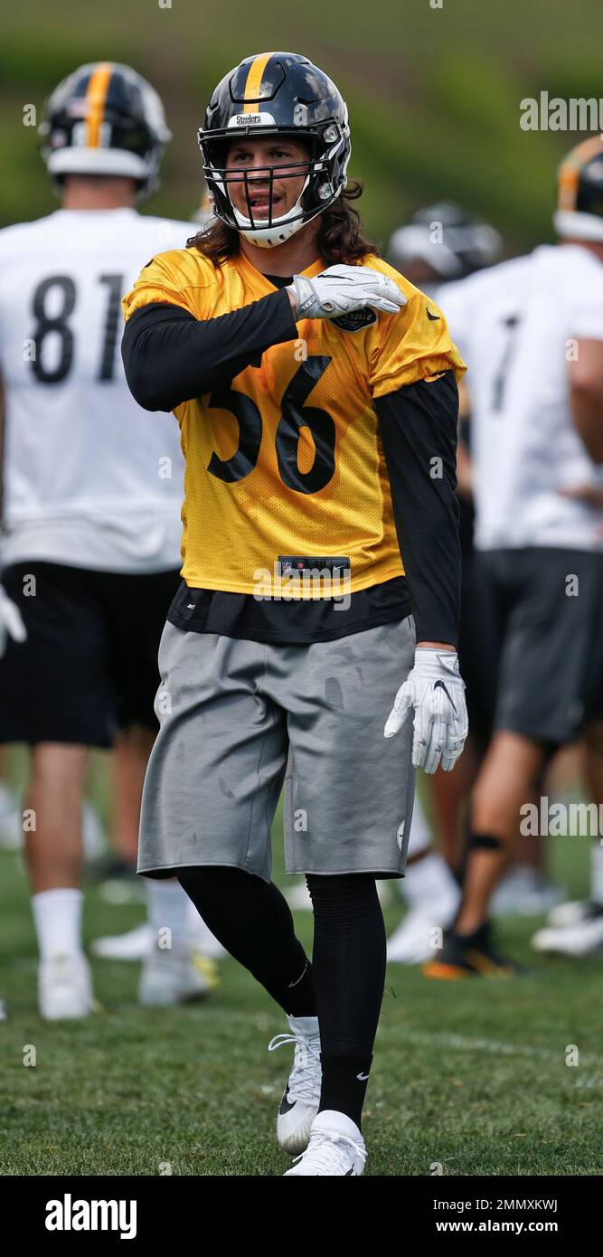 Pittsburgh Steelers linebacker Anthony Chickillo at practice during NFL ...