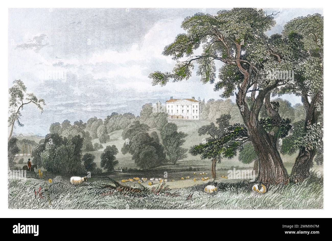 19th century engraving hand hi-res stock photography and images - Alamy