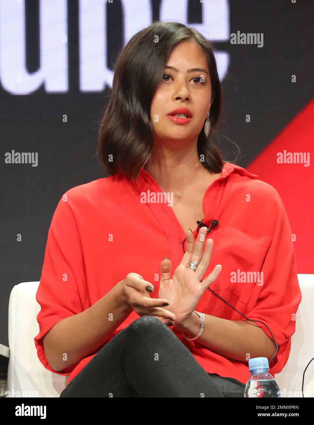 Creator/writer/executive producer Mika Watkins participates in the ...