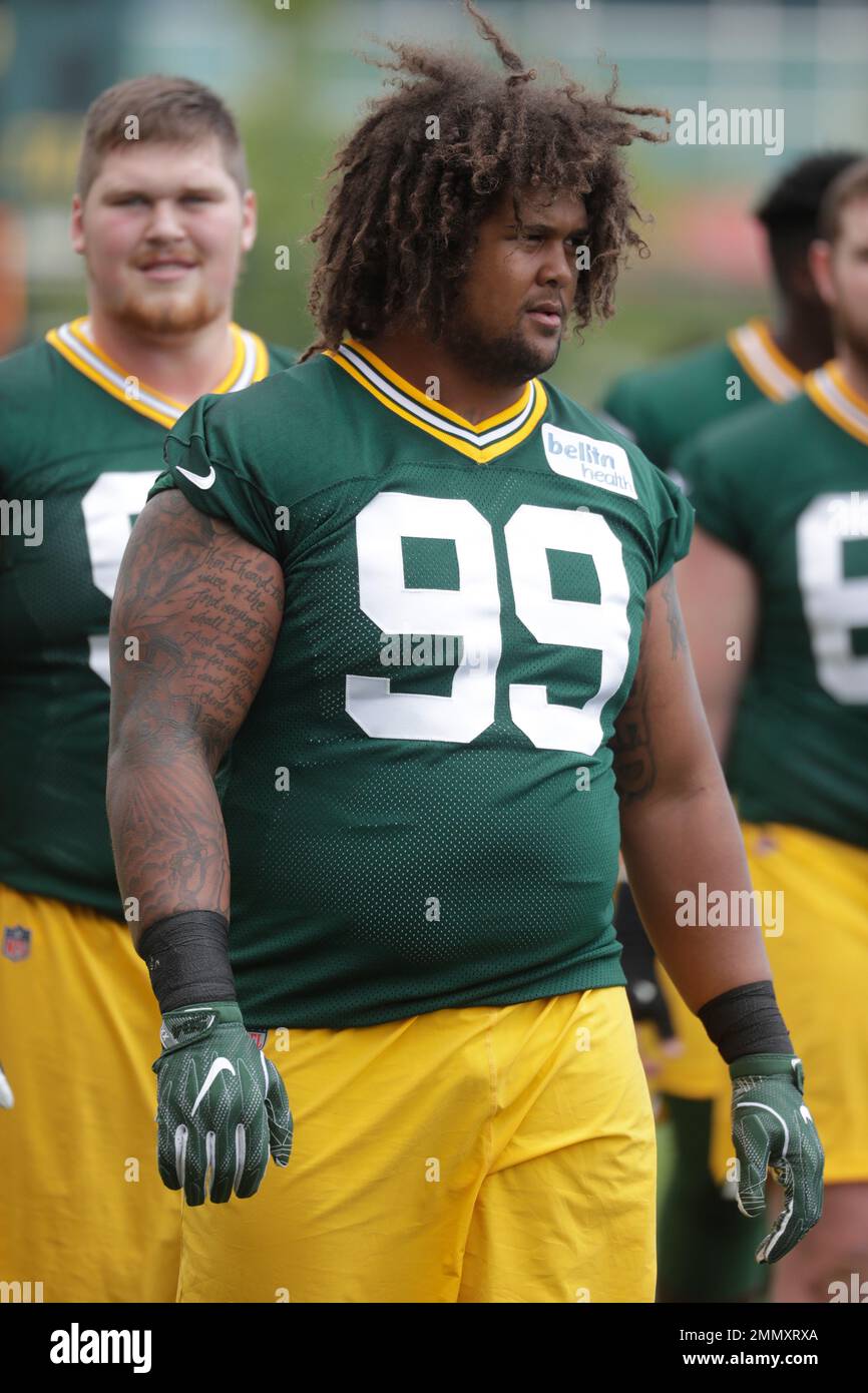 Green Bay Packers' James Looney is seen during NFL football training ...