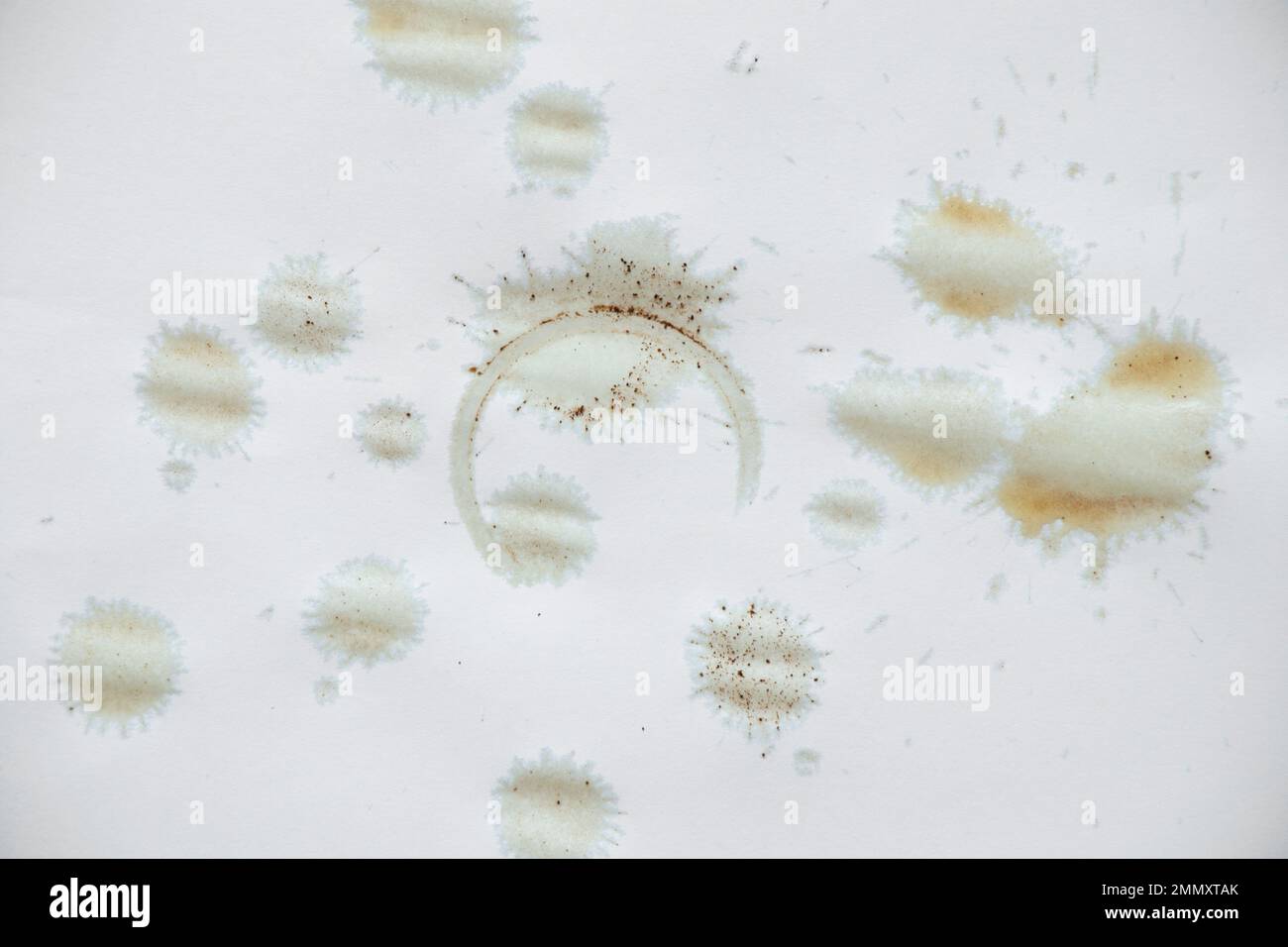 coffee stains on white paper, a drop of coffee on a white background ...