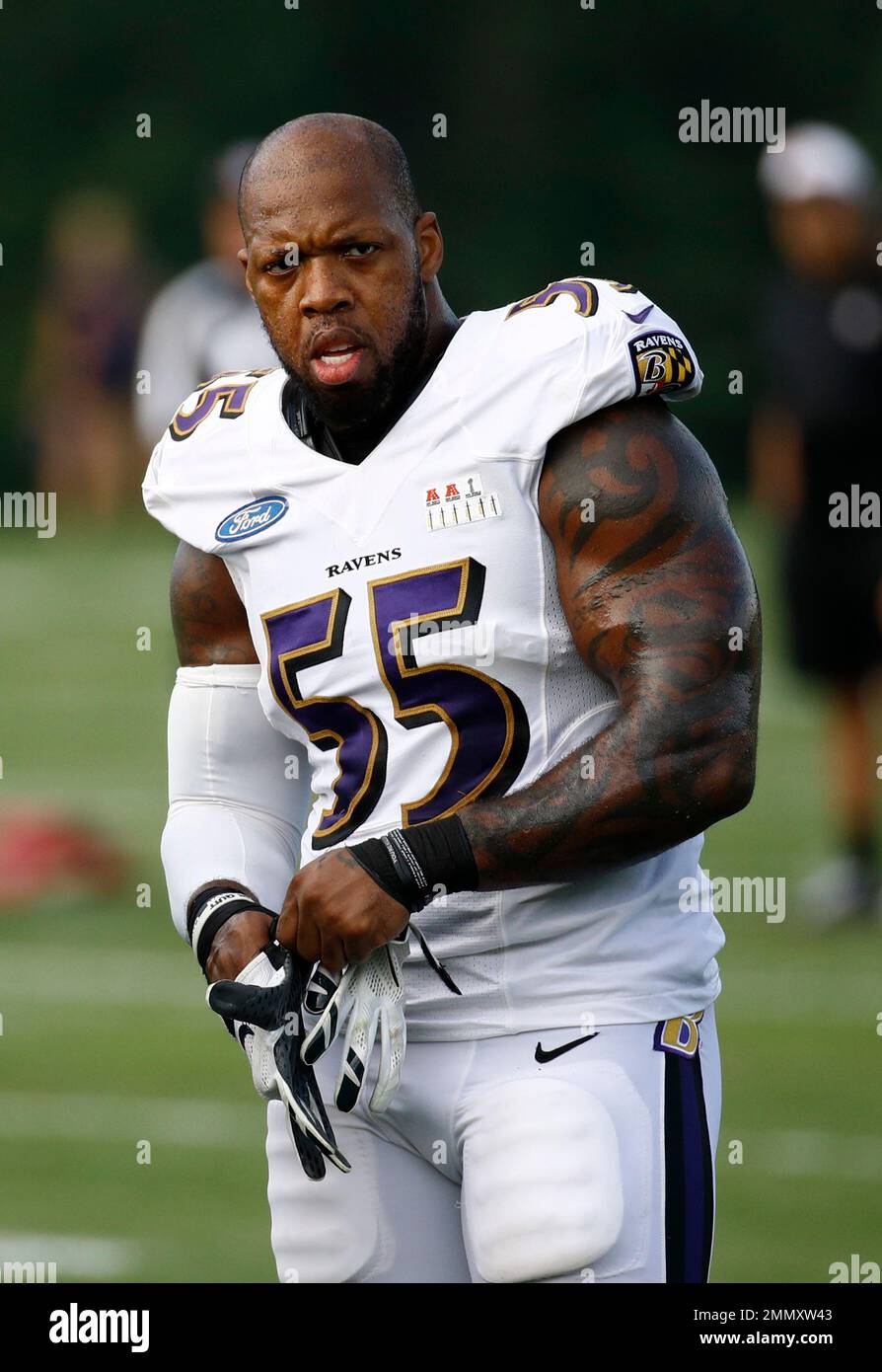 Baltimore Ravens linebacker Terrell Suggs stands on the field during an ...