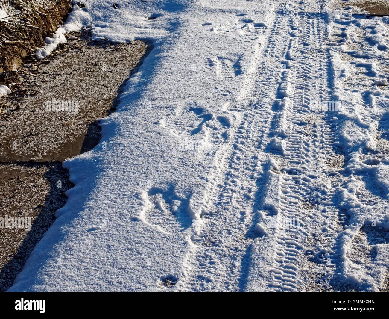 First street pathway park hi-res stock photography and images - Alamy