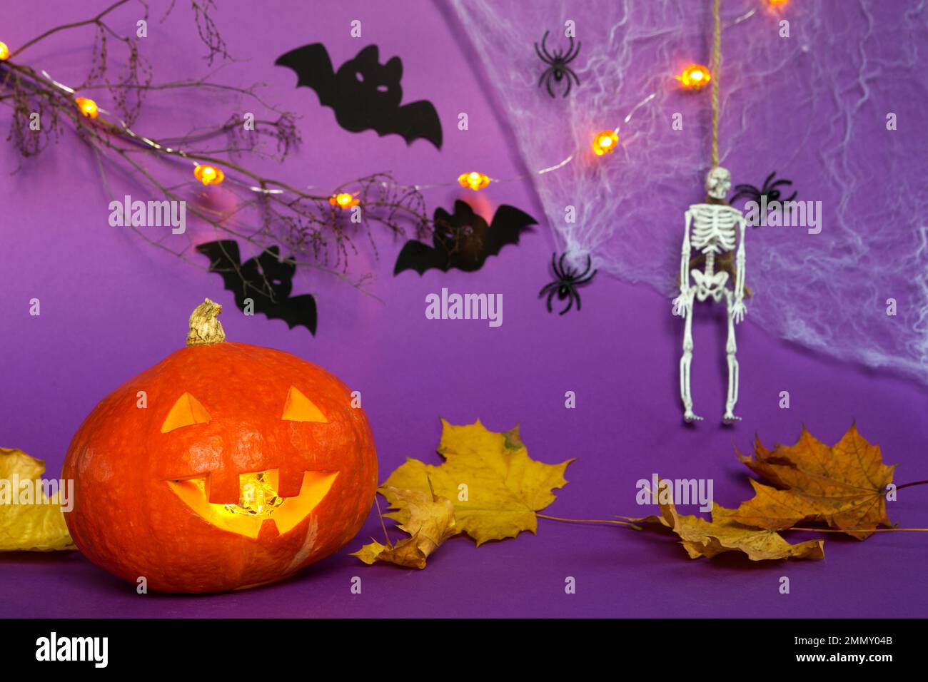 Halloween backgrounds of Jack lantern pumpkin, spider web, skeleton on ...