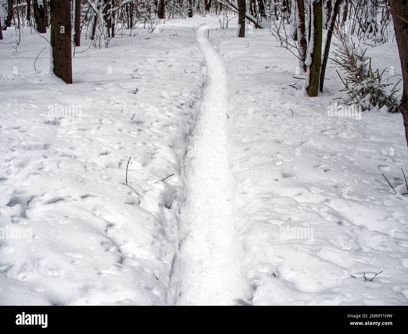 Frost covered path hi-res stock photography and images - Alamy