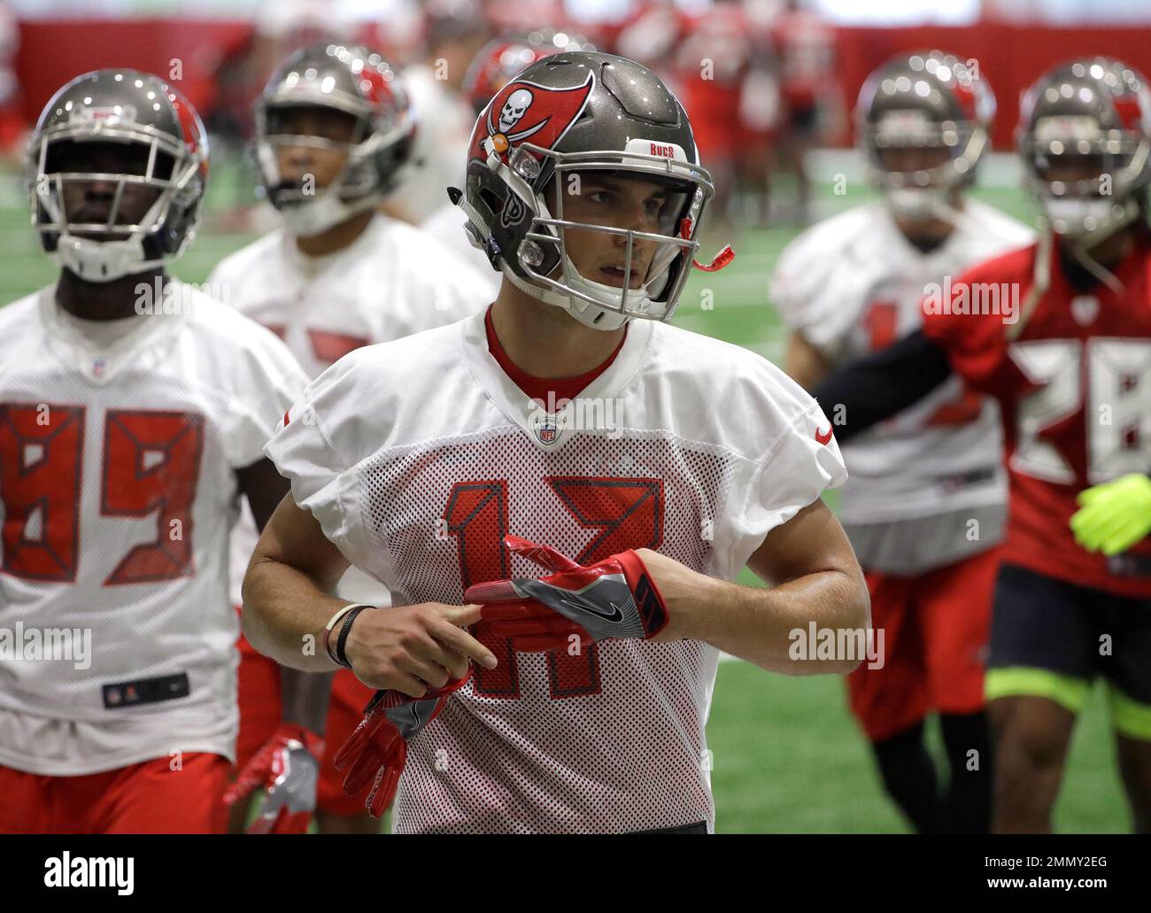 Tampa Bay Buccaneers wide receiver Justin Watson (17) during an NFL ...