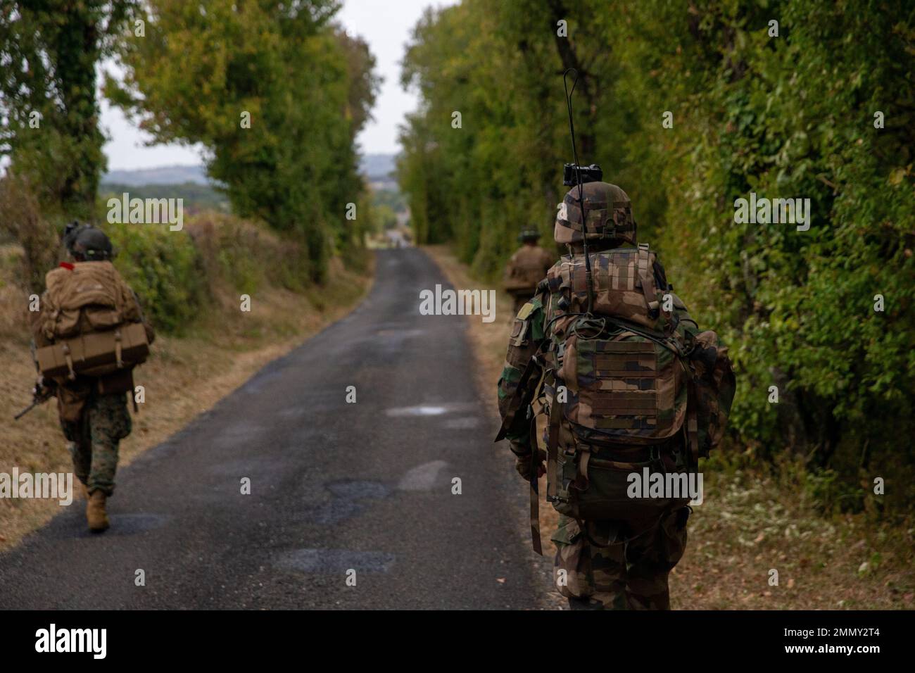 A French Soldier with the 4th Airmobile Brigade conduct patrolling ...