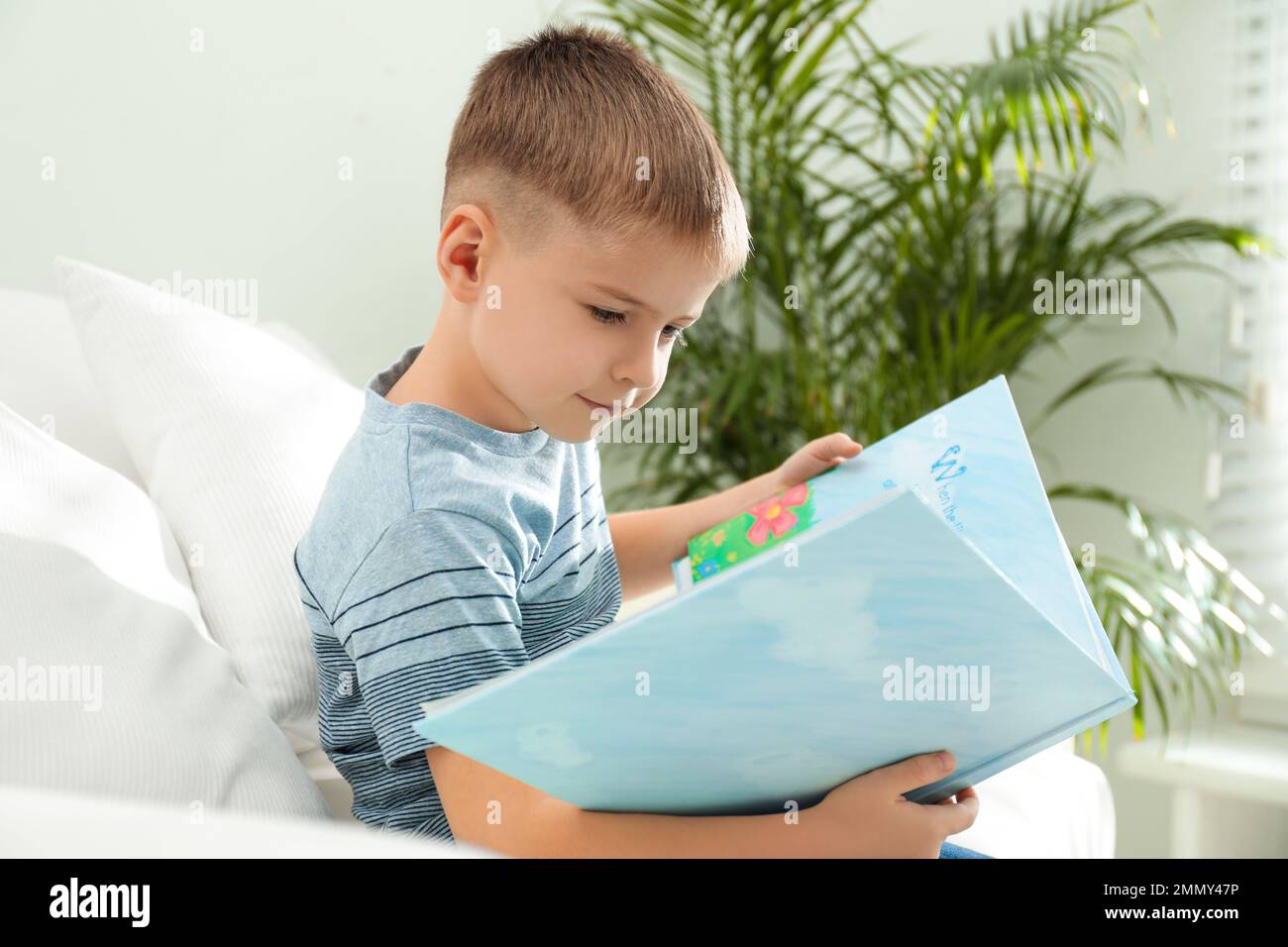 Little boy reading book on sofa indoors Stock Photo - Alamy