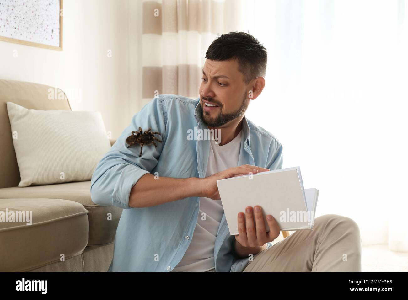 Scared man with tarantula at home. Arachnophobia (fear of spiders Stock ...