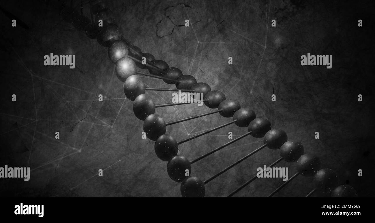 Image of close up of macro black dna strand Stock Photo - Alamy