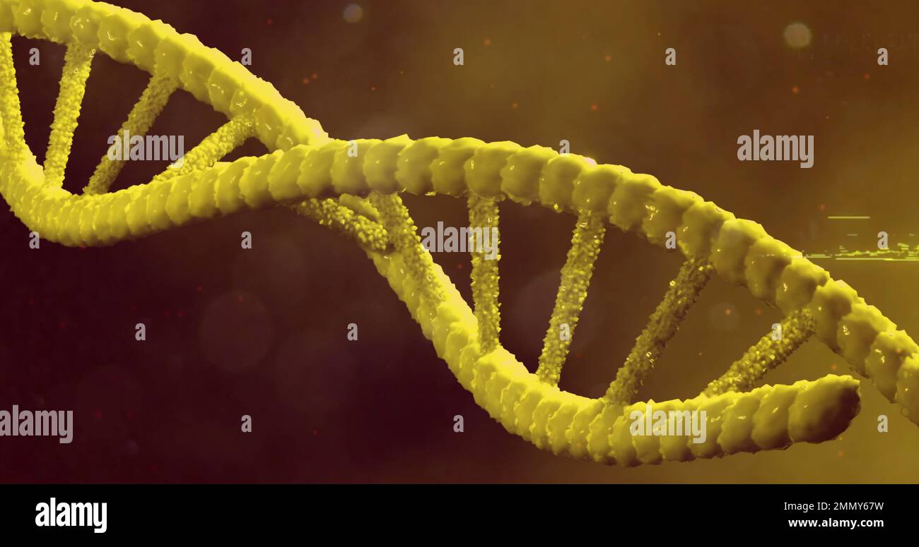 Image of close up of macro yellow dna strand Stock Photo - Alamy