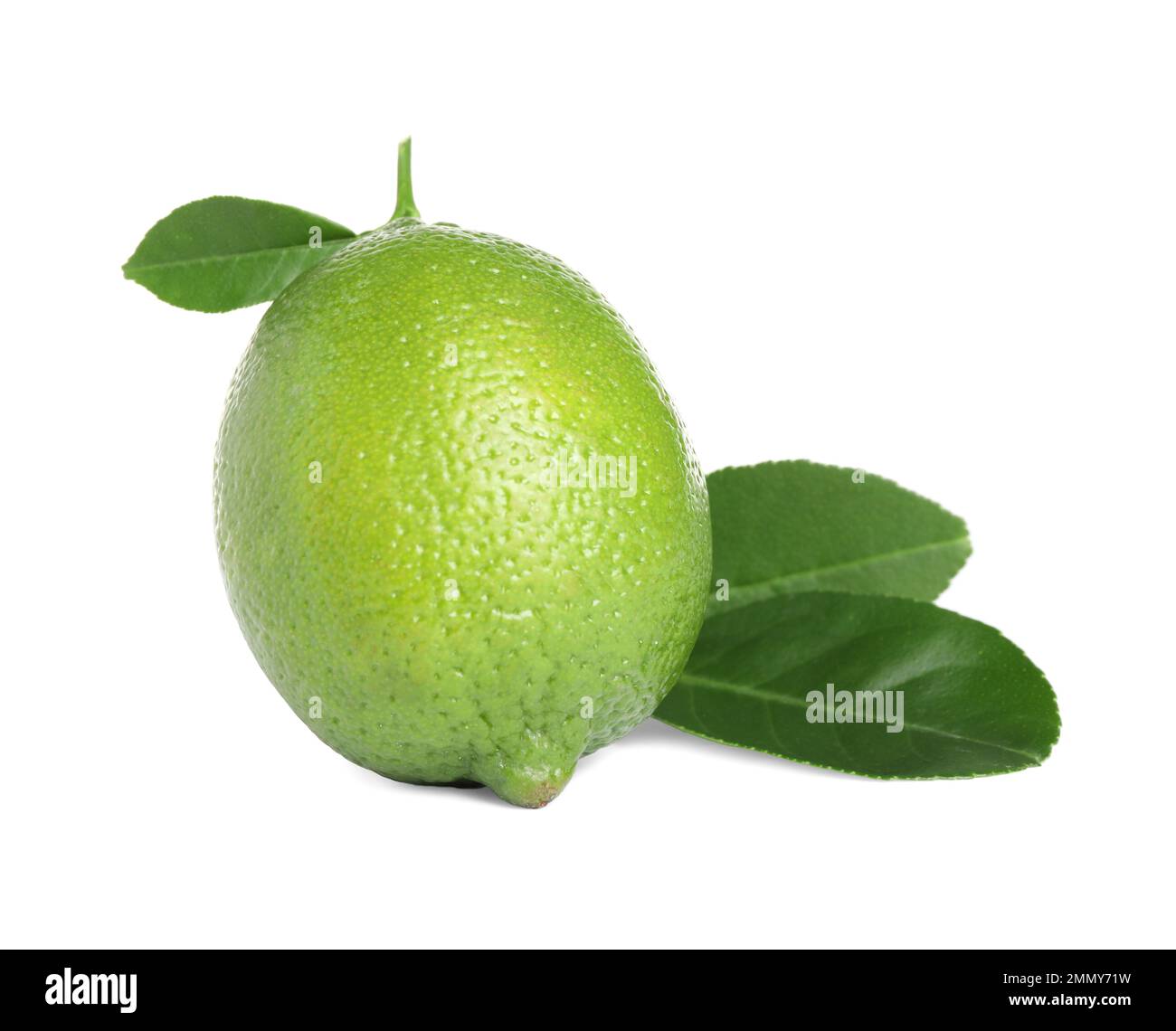 Fresh ripe lime with green leaves isolated on white Stock Photo - Alamy