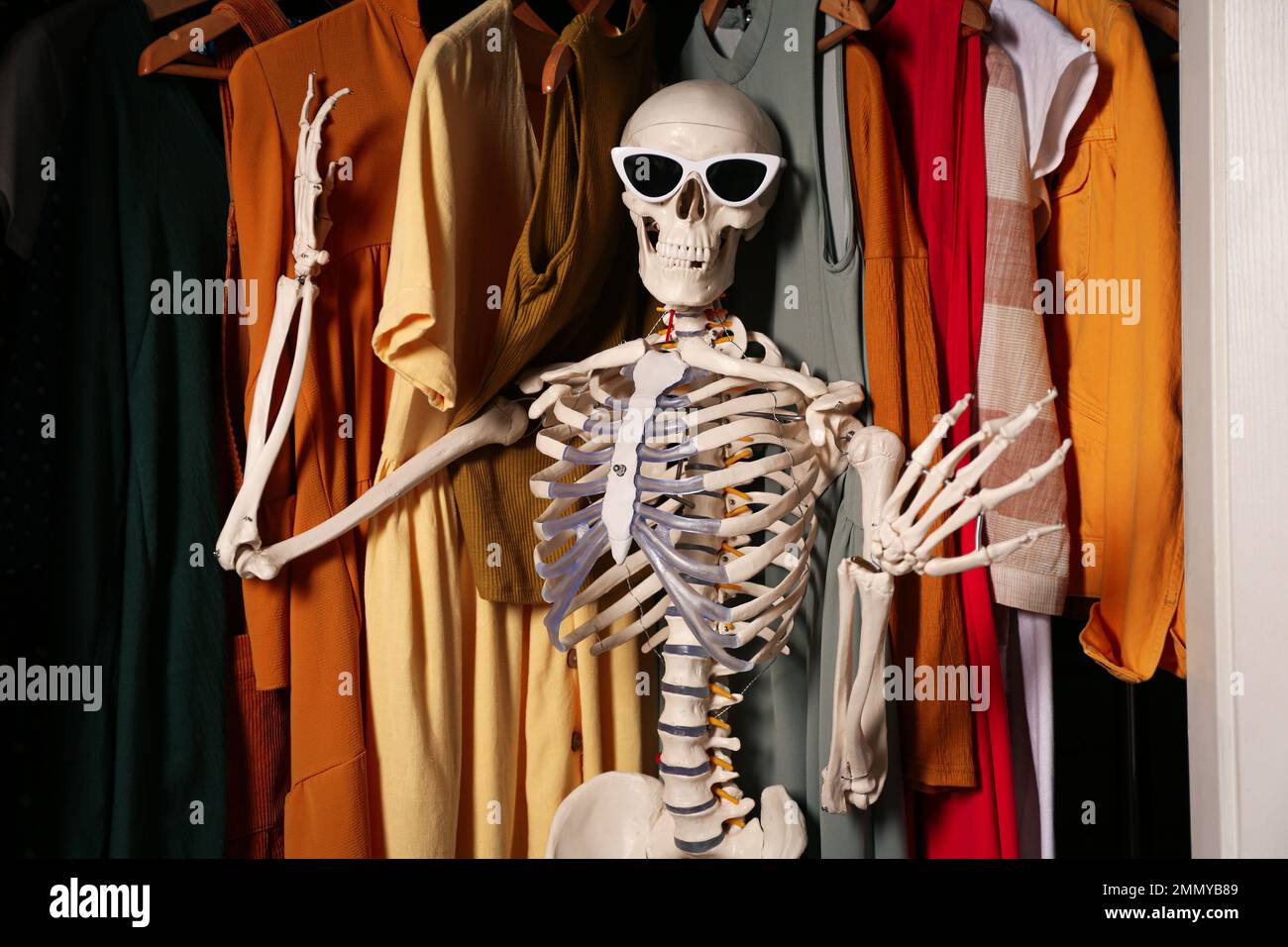 Artificial human skeleton model among clothes in wardrobe Stock Photo ...