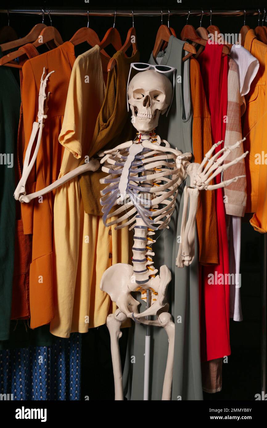 Artificial human skeleton model among clothes in wardrobe Stock Photo ...