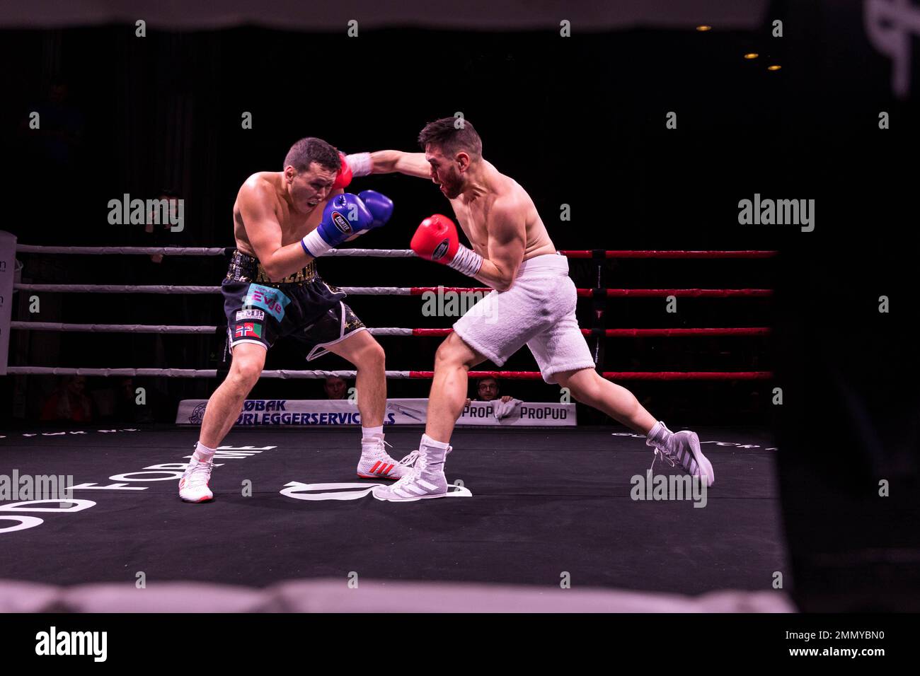 Oslo 20230128 hi-res stock photography and images - Alamy