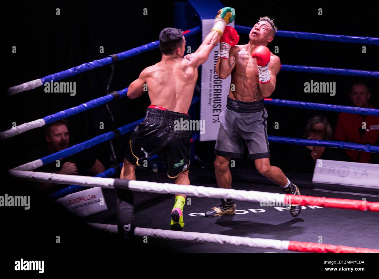 Oslo 20230128.Christian Avila and Bernard Torres during the boxing ...