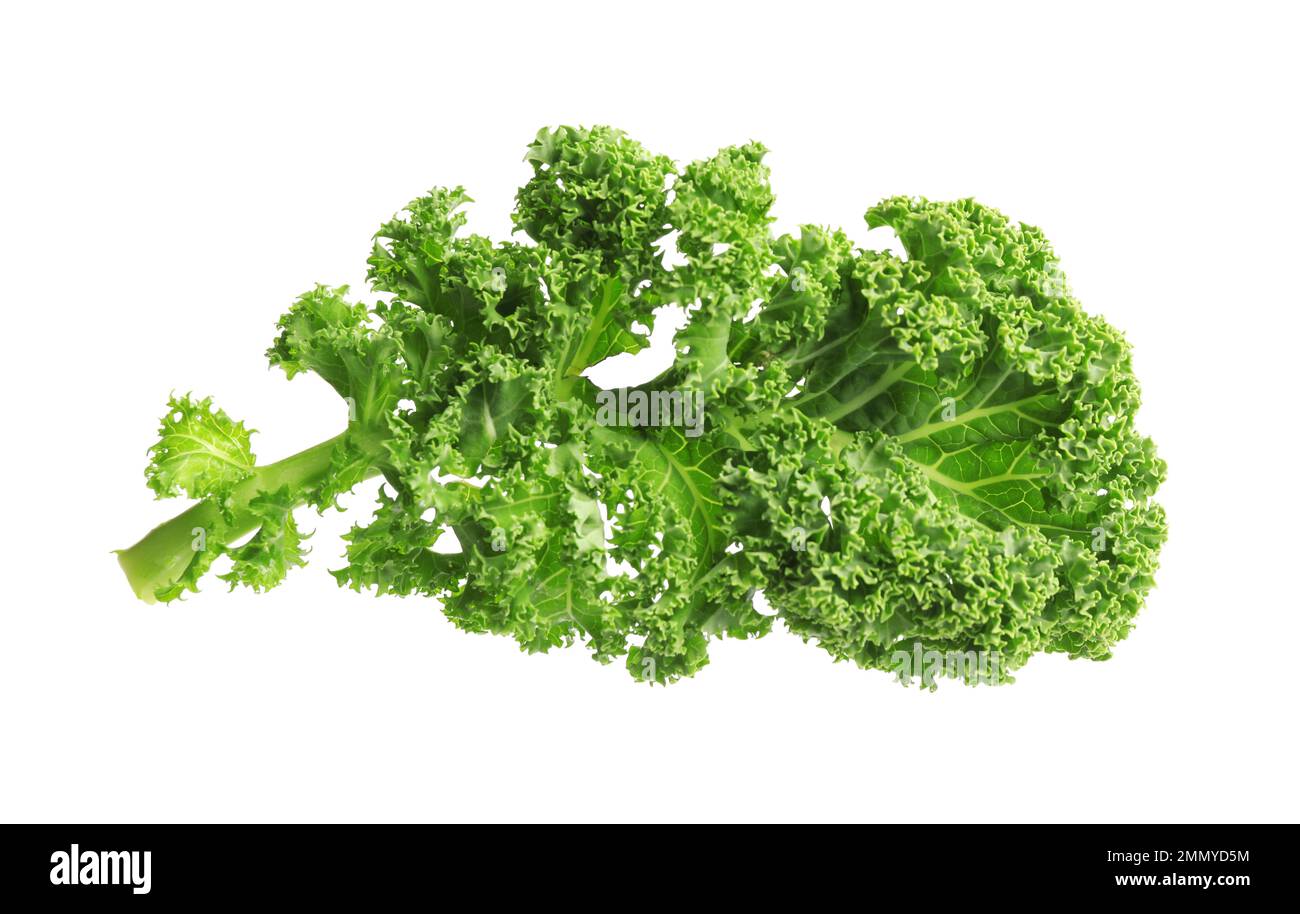 Fresh green kale leaf isolated on white Stock Photo - Alamy