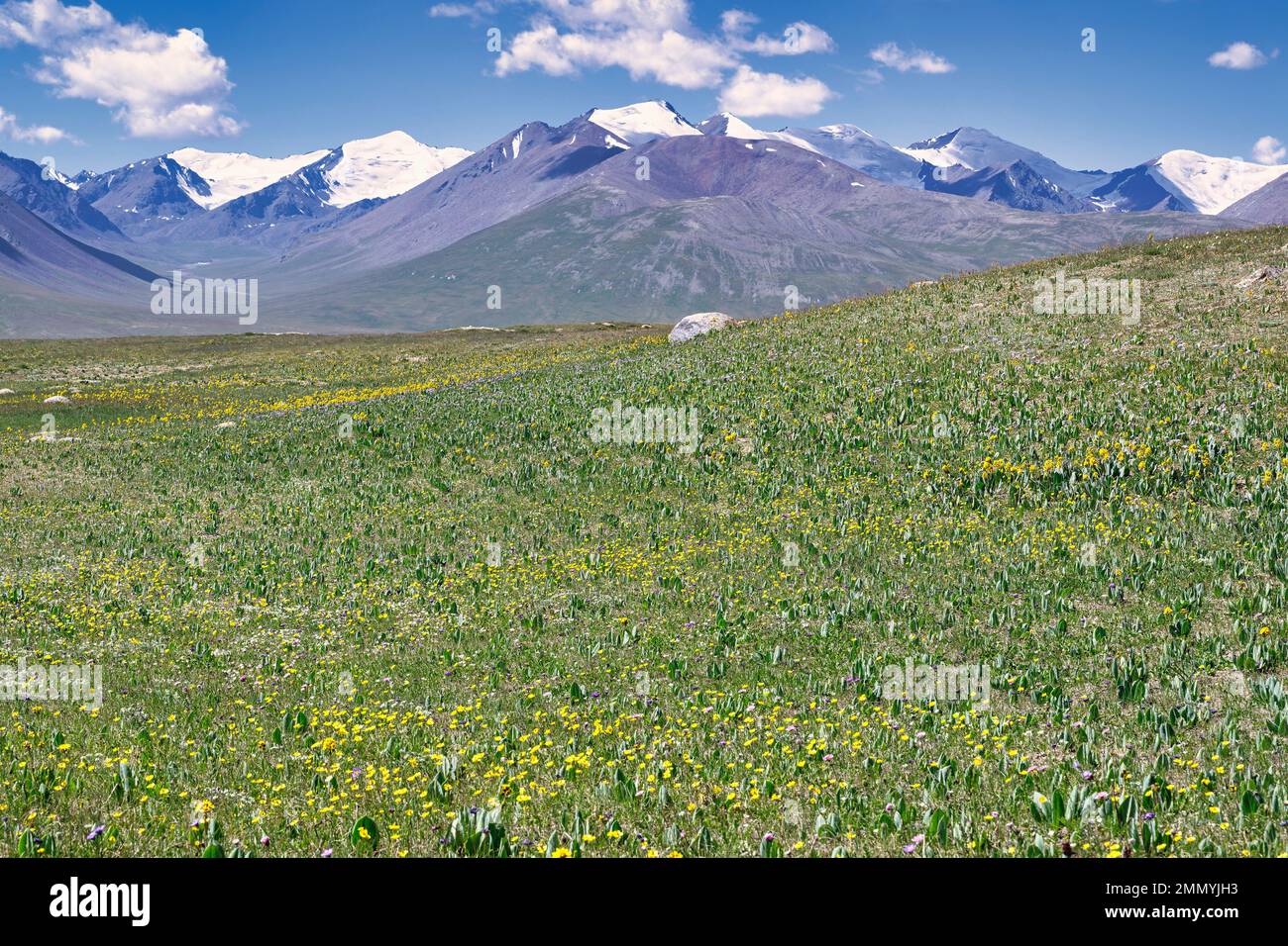Alpine meadows in the Tian Shan mountains at the Chinese border, Naryn ...