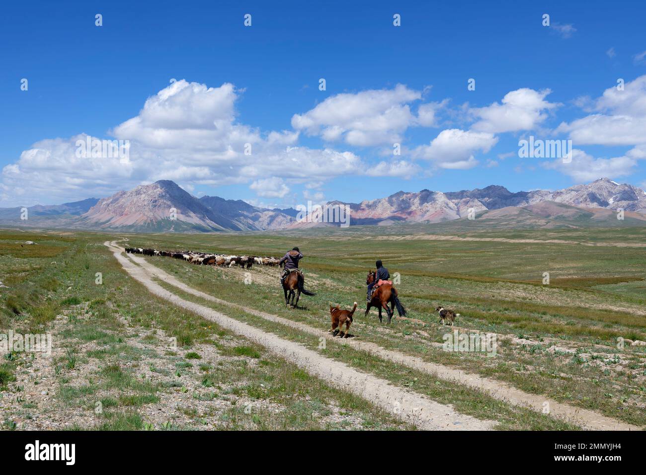 Kyrgyz nomads and sheep herd, Tian Shan mountains near the Chinese ...