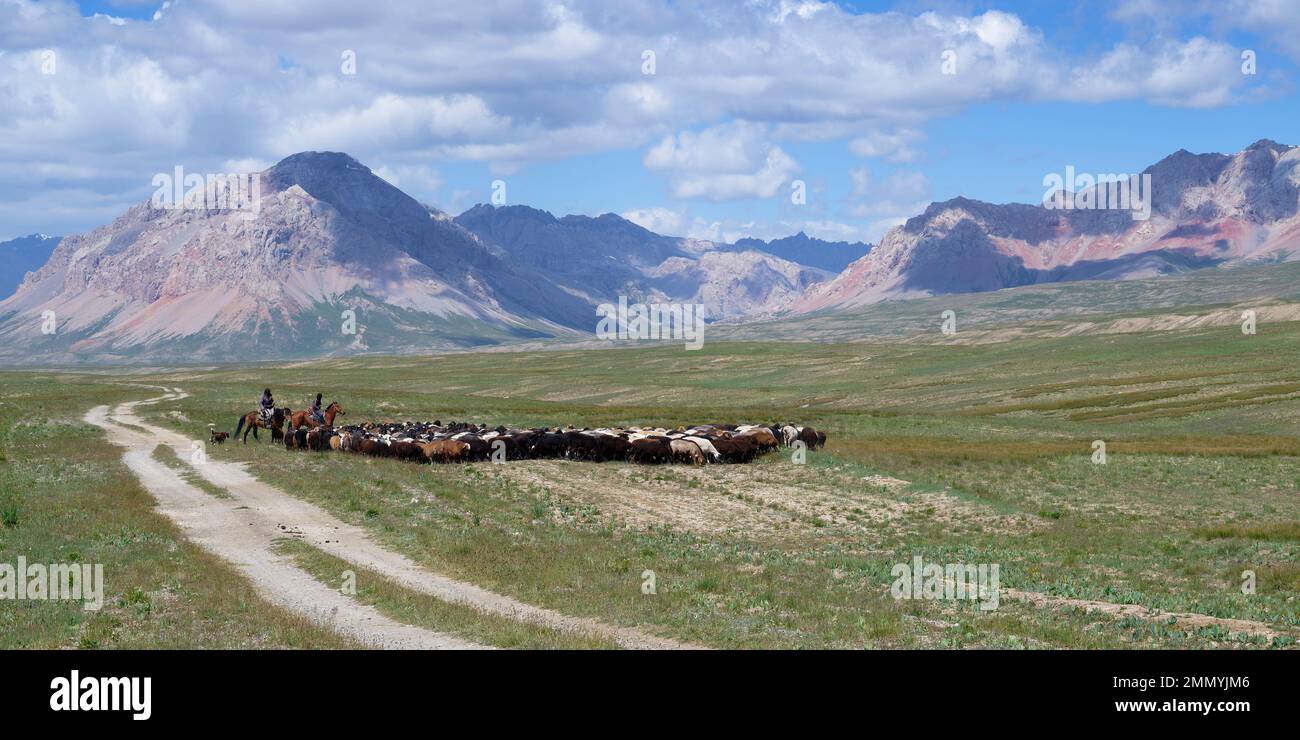 Kyrgyz nomads and sheep herd, Tian Shan mountains near the Chinese ...