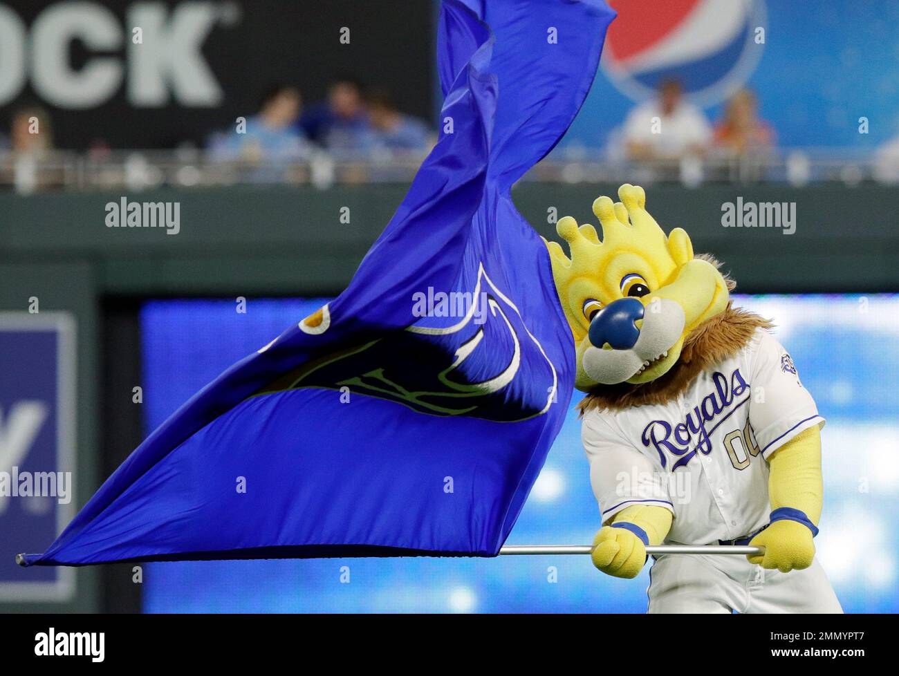 Kansas City Royals mascot, Sluggerrr, waves a flag following a baseball ...
