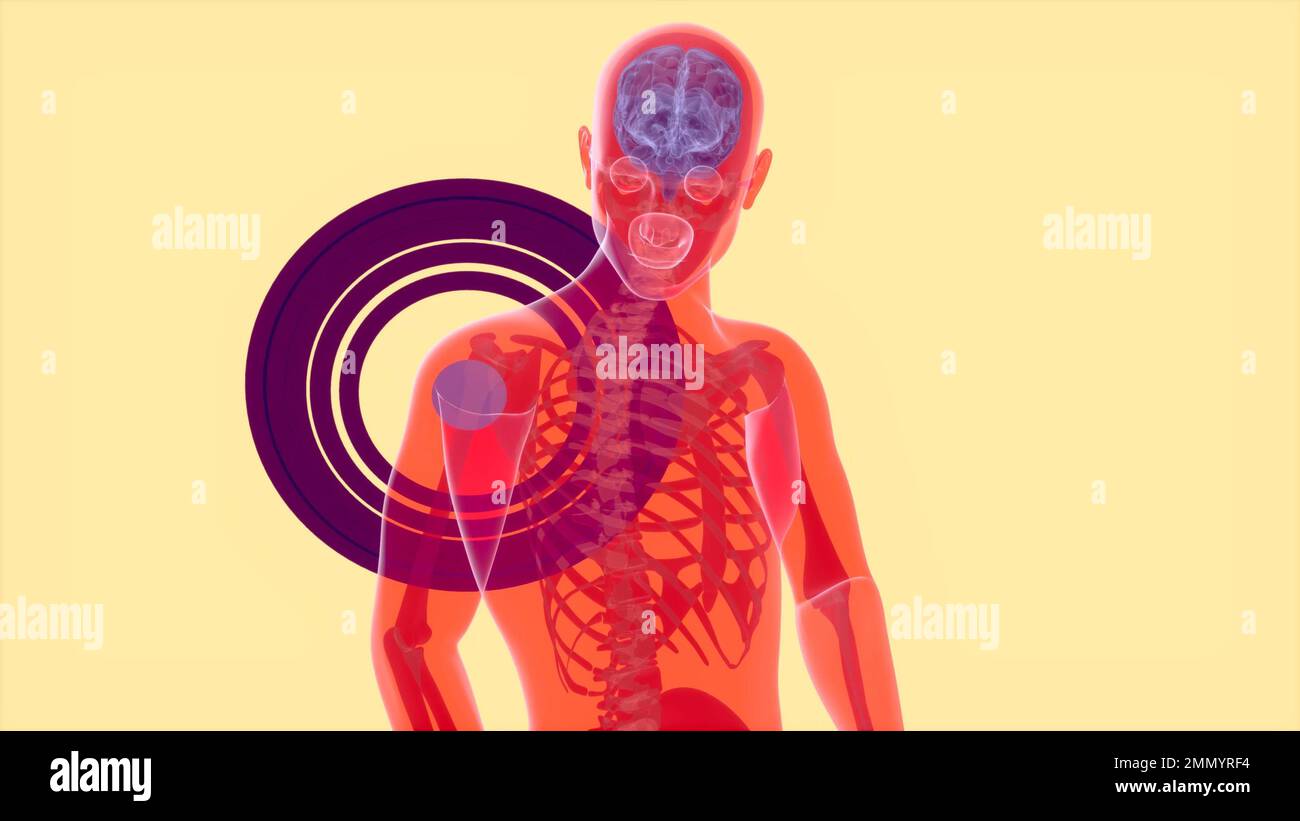 3D abstract anatomy concept of a shoulder pain Stock Photo - Alamy