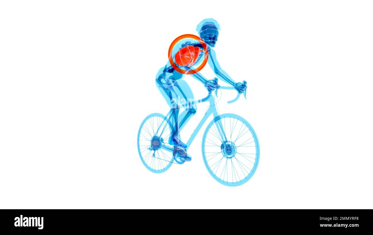 4K anatomy of a X-ray cyclist riding Stock Photo - Alamy