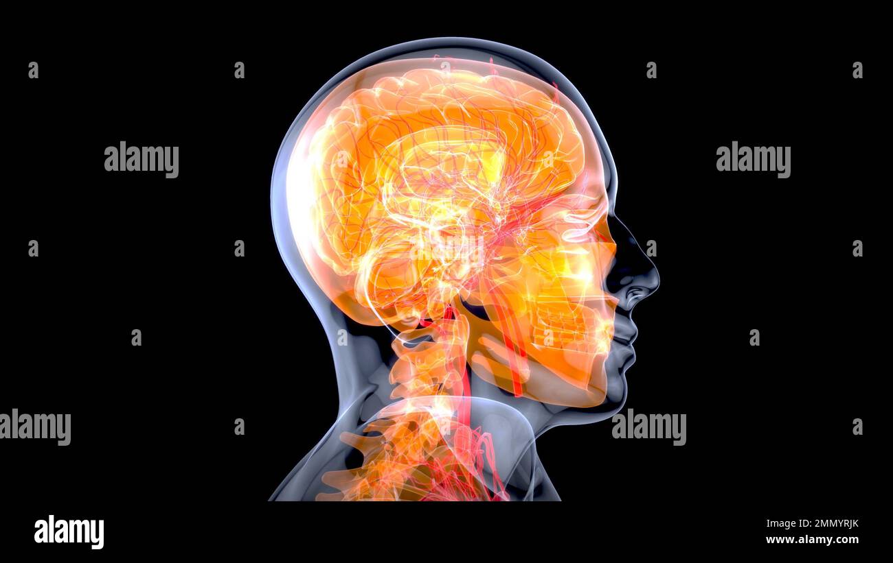 3D abstract art of a brain motion design Stock Photo - Alamy