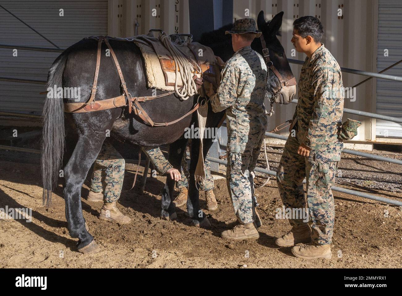 U.S. Marines with 8th Engineer Support Battalion, 2nd Marine Logistics ...