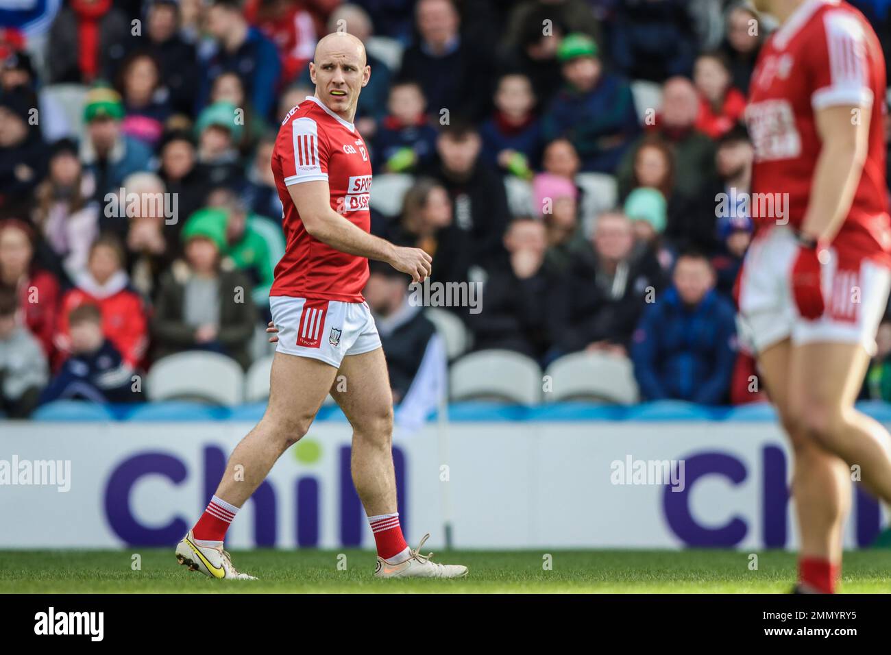 January 29th, 2023, Cork, Ireland: Brian O'Driscoll at the Allianz ...