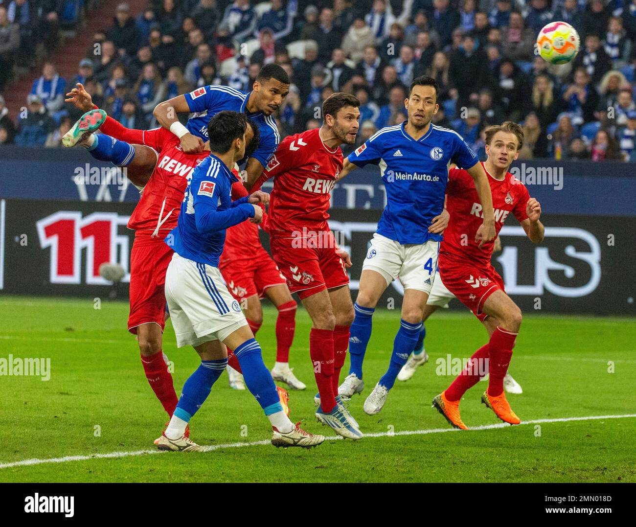 Maya jonas hi-res stock photography and images - Alamy