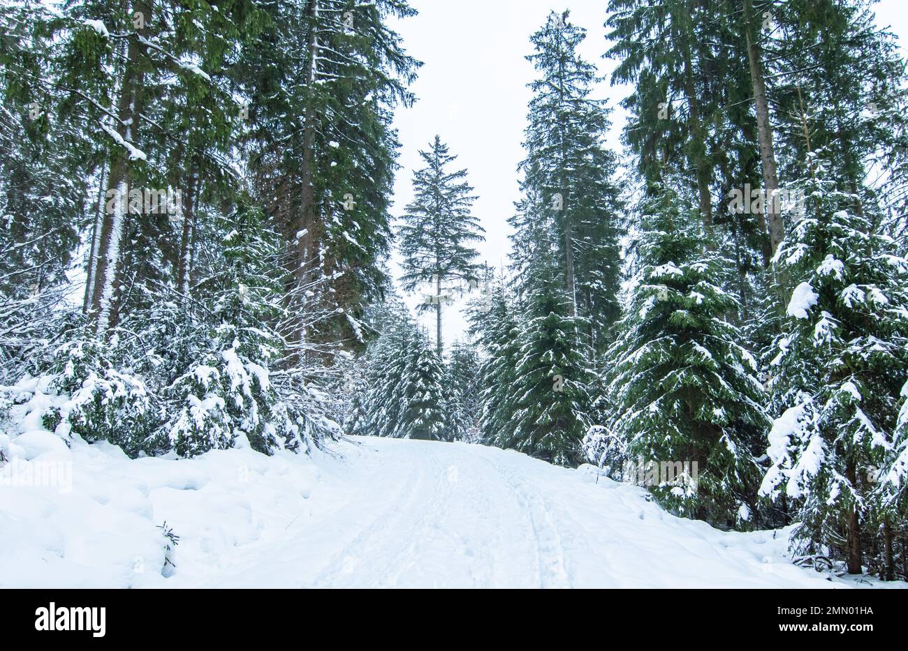 Beautiful winter landscape on hi-res stock photography and images - Alamy
