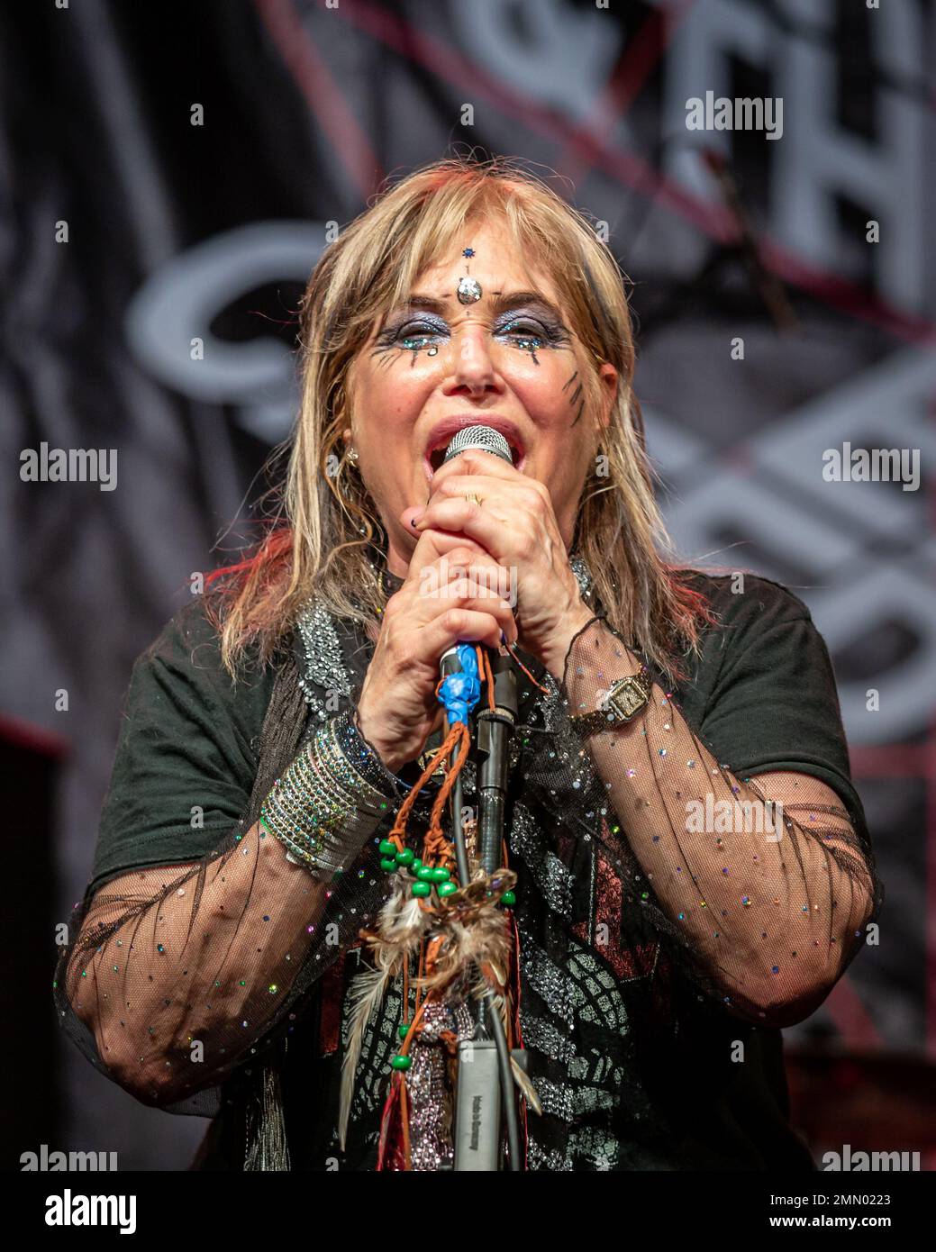 Brix Smith Start. Brix & The Extricated at Colchester Arts Centre, Essex. 18 November 2018 Stock ...