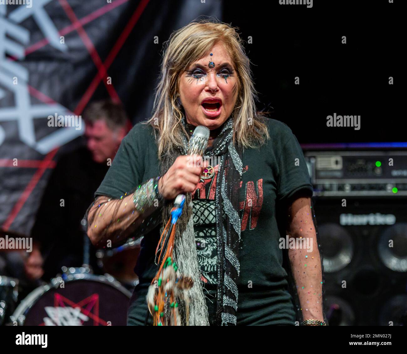 Brix smith start hi-res stock photography and images - Alamy