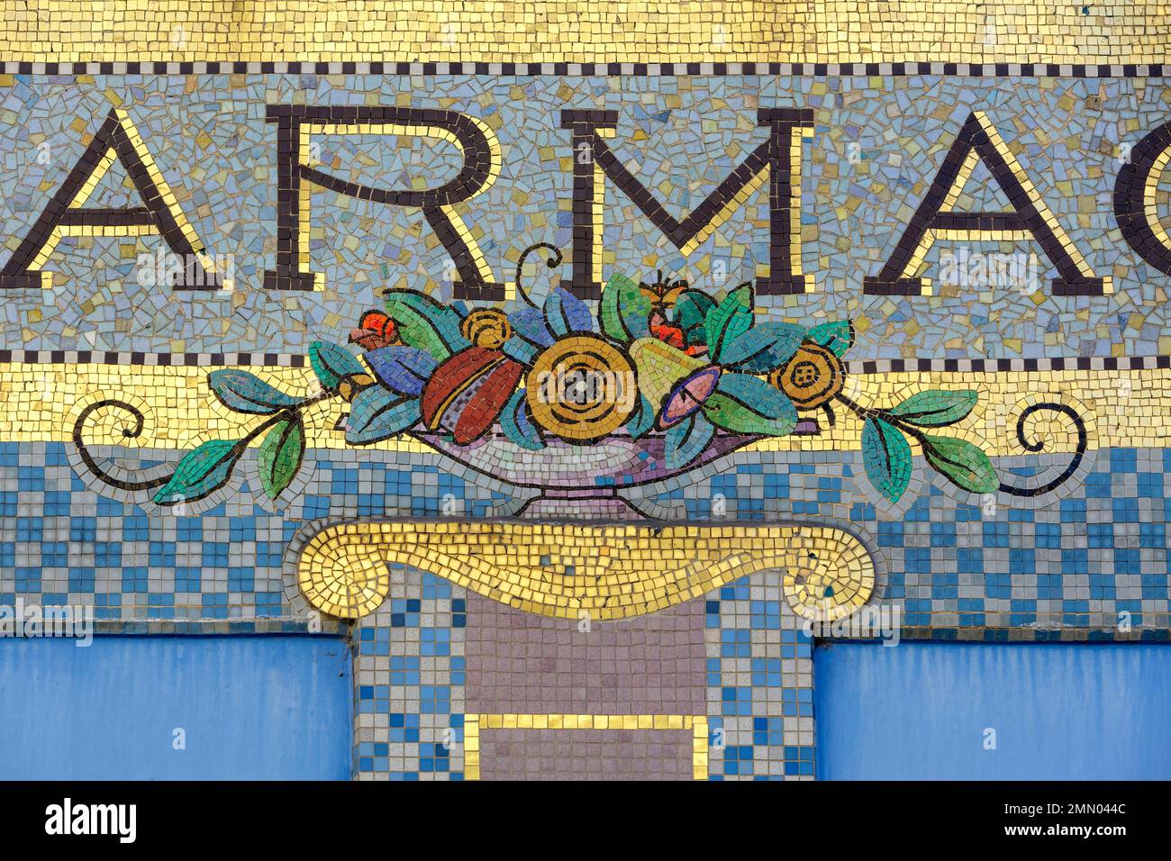 France, Meurthe et Moselle, Nancy, Art Deco decorations of the Godfrin ...