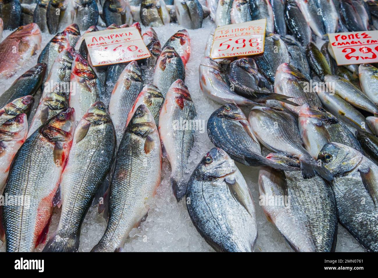 Greece, Athens, central market or Varvakios market, fish market Stock ...