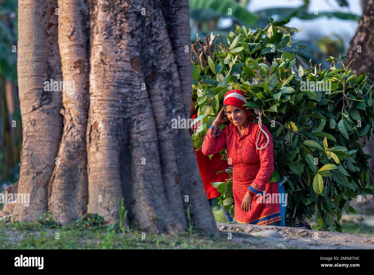 Nepal, Terai province, Tharu ethnic group, Barauli village Stock Photo ...