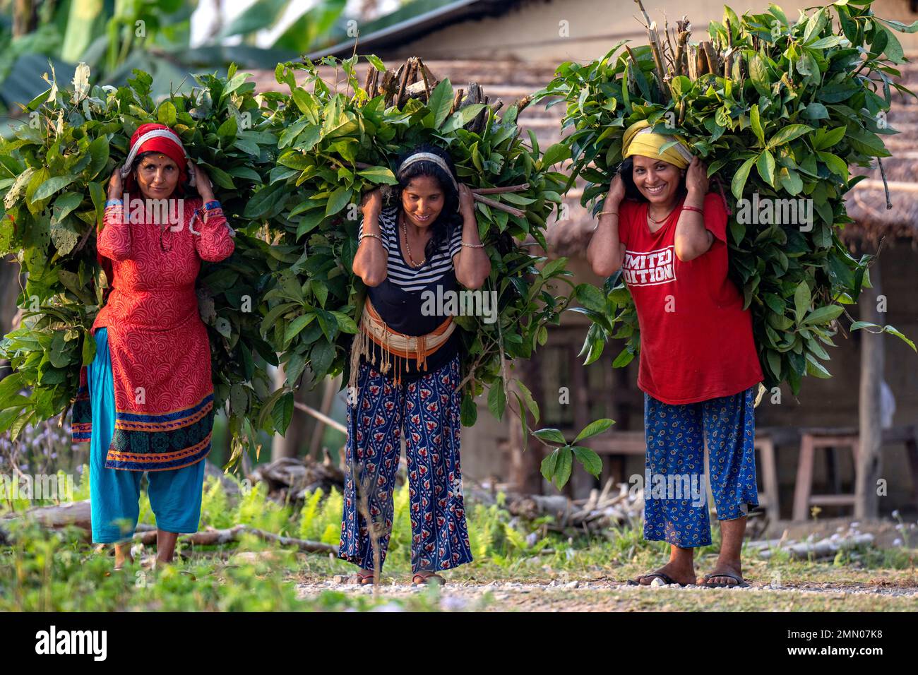 Nepal, Terai province, Tharu ethnic group, Barauli village Stock Photo ...