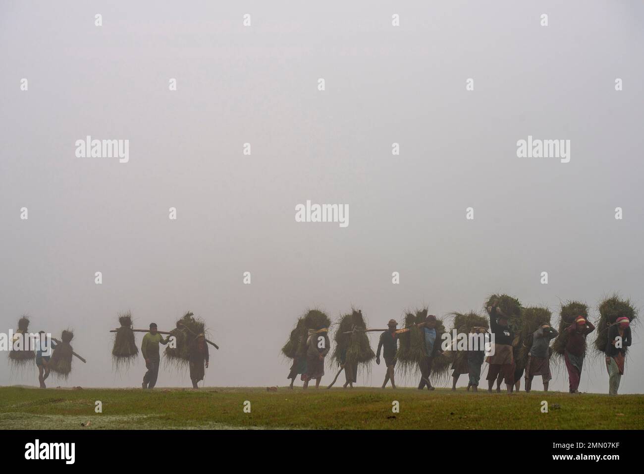 Nepal, Terai Province, Chitwan National Park Stock Photo - Alamy