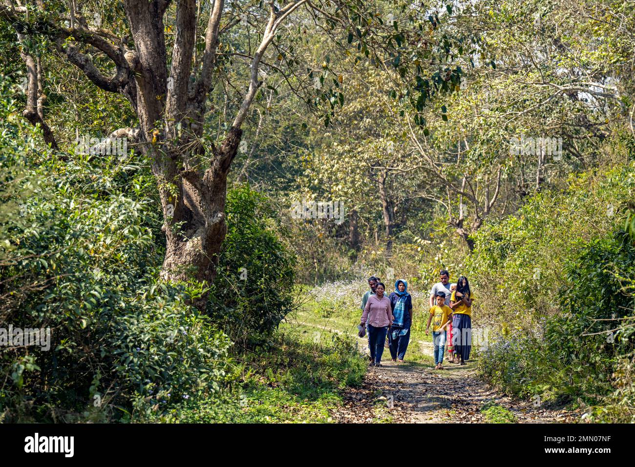 Nepal, Terai Province, Chitwan National Park Stock Photo - Alamy