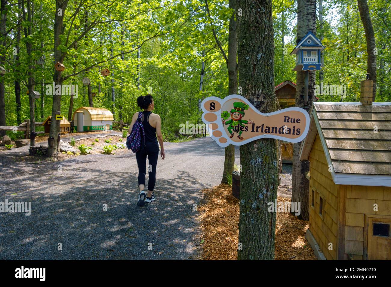 Canada, province of Quebec, Centre-du-Québec region, Tingwick, the ...