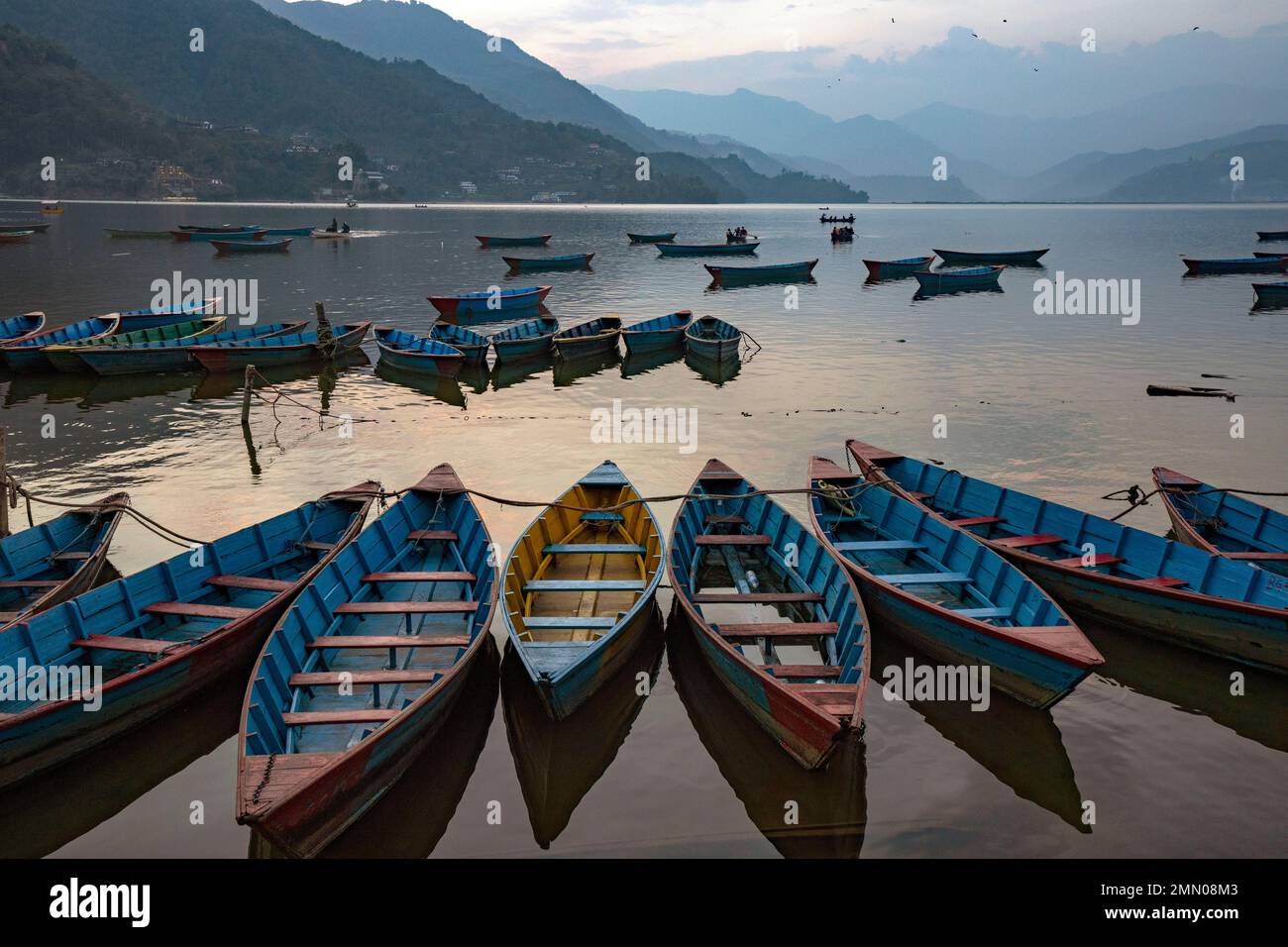 Nepal, Gandaki province, Pokhara, Phewa lake Stock Photo - Alamy